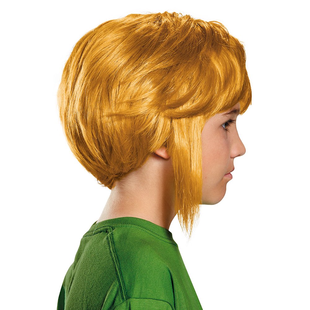 Disguise Link Child Wig Costume – Feelforever21